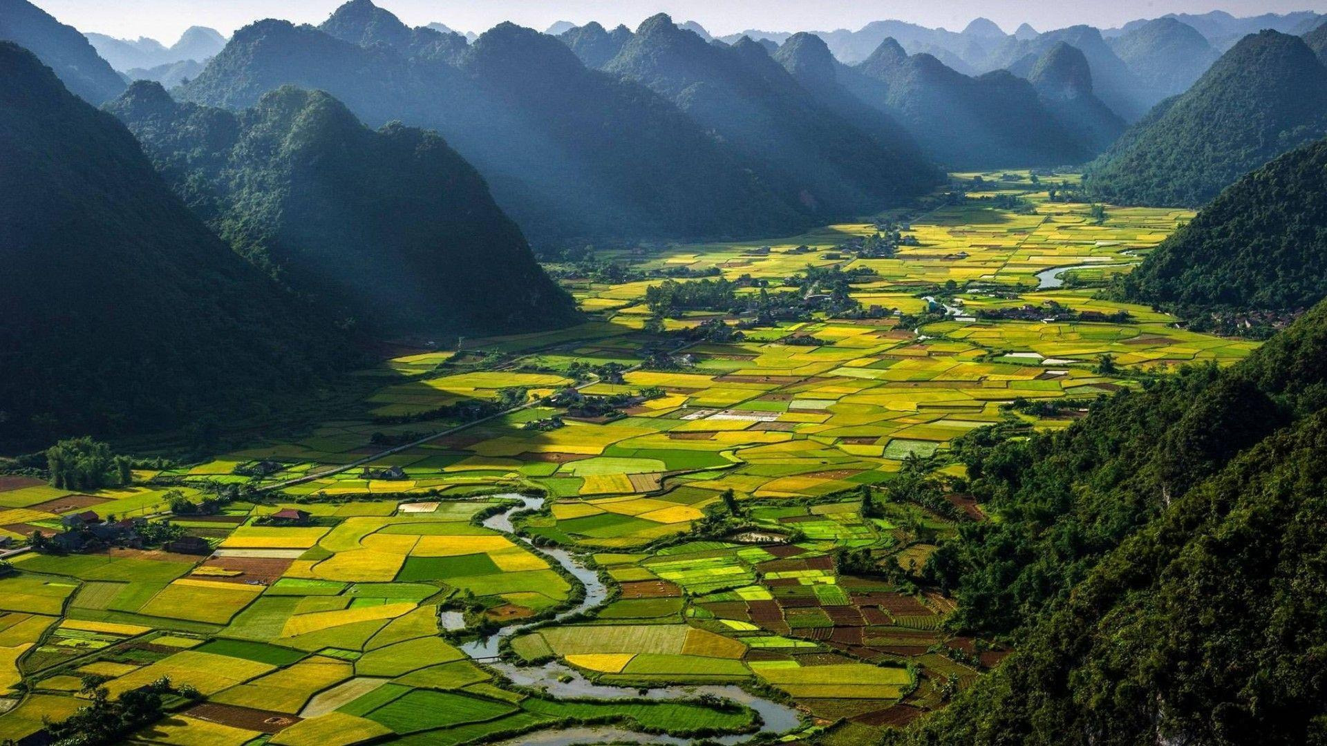 Ready to Plug In? Here's All You Need to Know About Electricity in Vietnam